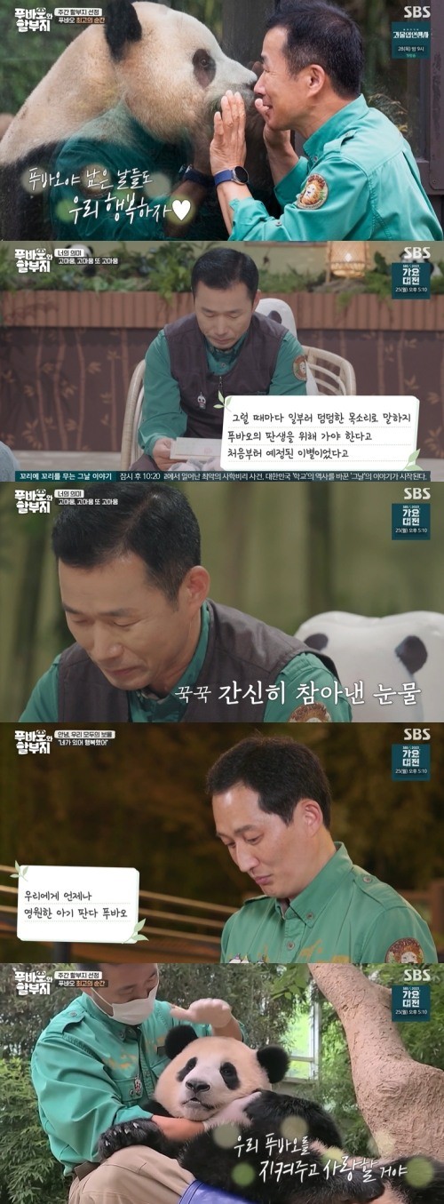 푸바오와 이별 앞둔 강철원 사육사 “넌 나에게 영원한 아기판다” 눈물 민중의소리