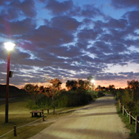 노을공원에서 반딧불과 꿀벌을 만나보세요 - 민중의소리