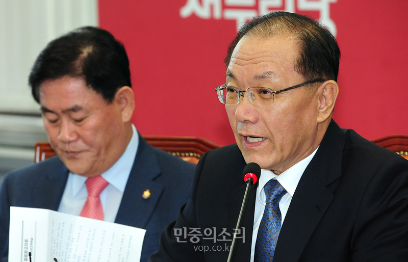 새누리 “채동욱, 진퇴 결정은 진실규명 이후에 해야” - 민중의소리